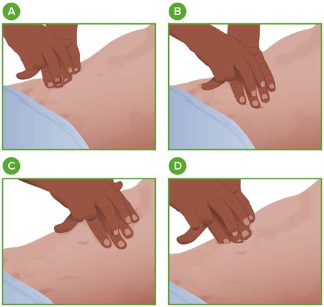 Exame Abdominal Concise Medical Knowledge