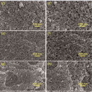 Sem Images Of Aerogels Synthesized By Varying Compositions A And B