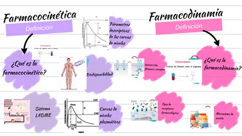 Farmacocin Tica Y Farmacodinamia By Diana Vazquez On Prezi