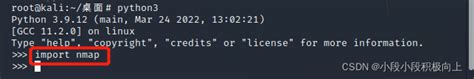 python nmap模块 同步 异步 实例 nmap采用异步扫描 csdn博客