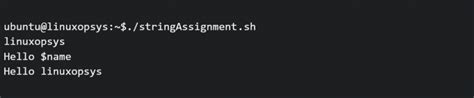 how to assign variable in bash