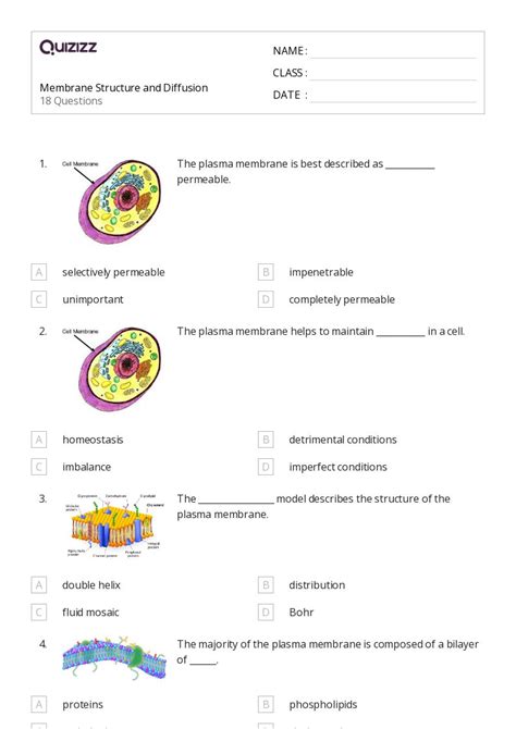 50 The Cell Membrane Worksheets For 10th Grade On Quizizz Free