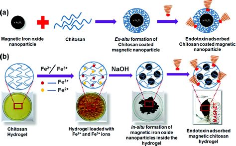 Zinc Oxide Nanoparticles Structure