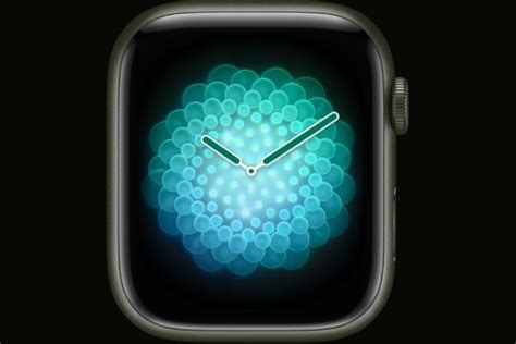 T Ng H P V I H N V H Nh N N Apple Watch P Cdgdbentre Edu Vn