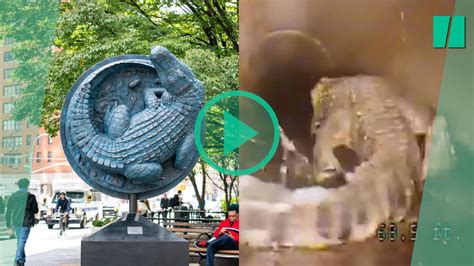 The Enduring Myth Of Alligators In New York City S Sewers World Today