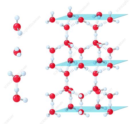Structure Of Water Molecular Model Stock Image C Science