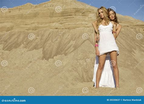 Two Girls Friends Blond And Brunette Stock Image Image Of Caucasian Brunette 20330637