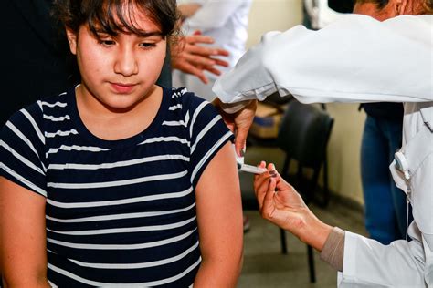 Ministério da Saúde alerta Sul e Sudeste sobre febre amarela Jovem Pan