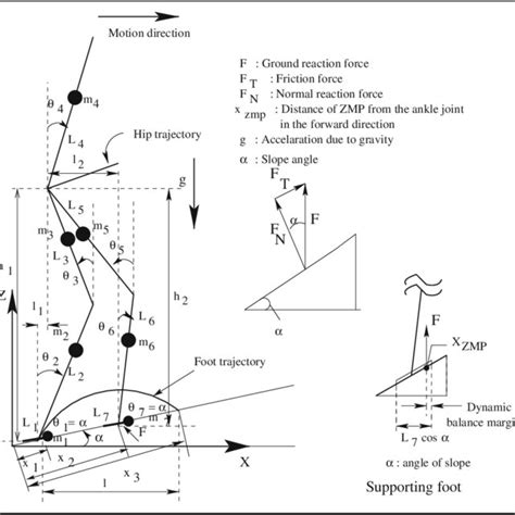 a schematic view of a two legged robot 7 dof moving down the sloping download scientific