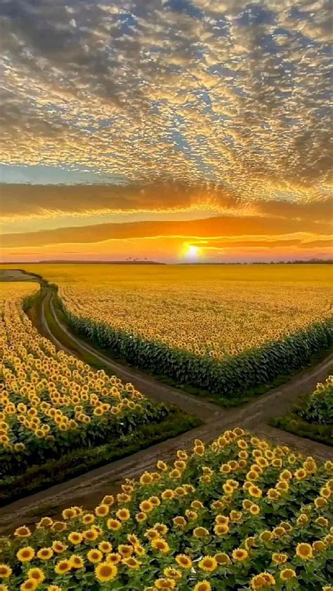 Pin de Jardins do Ser em Pins criados por você Lindas