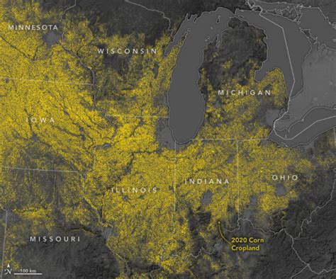 Geography Of Corn In The United States Geography Realm