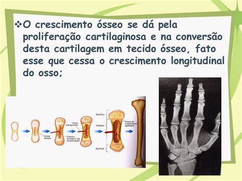 Até Que Idade O Seio Cresce LIBRAIN