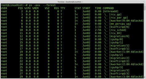 Utilisation De La Commande Ps Sous Linux