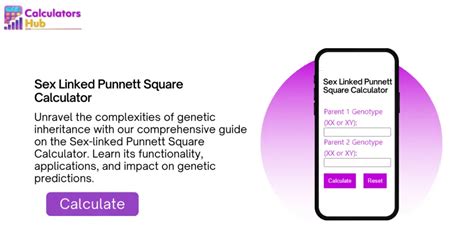 sex linked punnett square calculator online calculatorshub