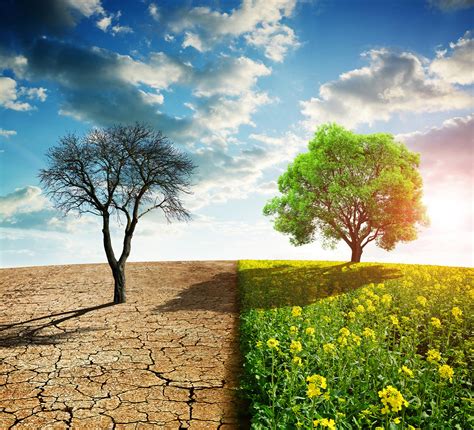 Climate Change Volo Foundation