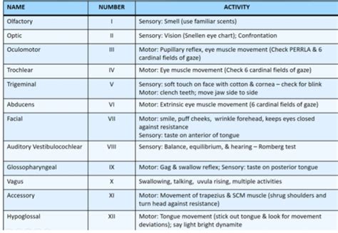 Neurological Focal System Assessment Flashcards Quizlet