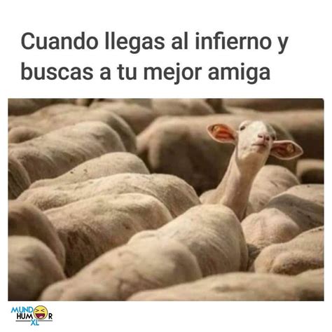 Cuando Vas Por Primera Vez A Un Evento Con La Familia De Tu Amorcito