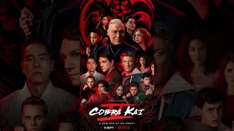 Cobra Kai Seasons Ranked YouTube