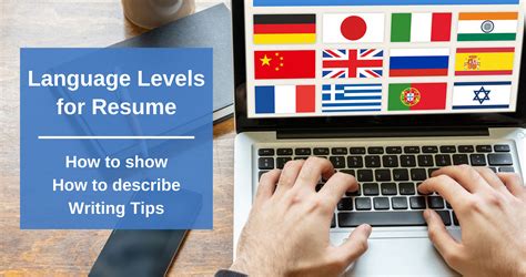 Language Skills Proficiency Levels On Resume Resume Examples