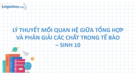 Khái niệm mối quan hệ giữa tổng hợp và phân giải các chất trong tế bào