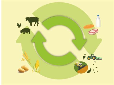 El Agro Y El Ambiente Pol Ticas Y Estrategias Novedades Iarh