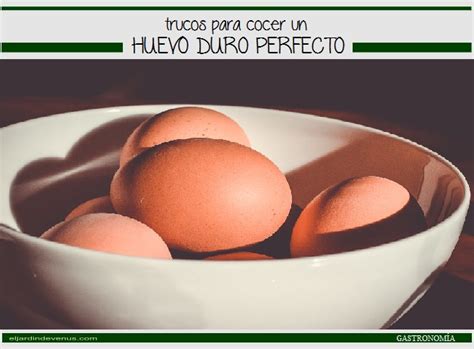 Trucos para cocer un huevo duro perfecto El Jardín de Venus
