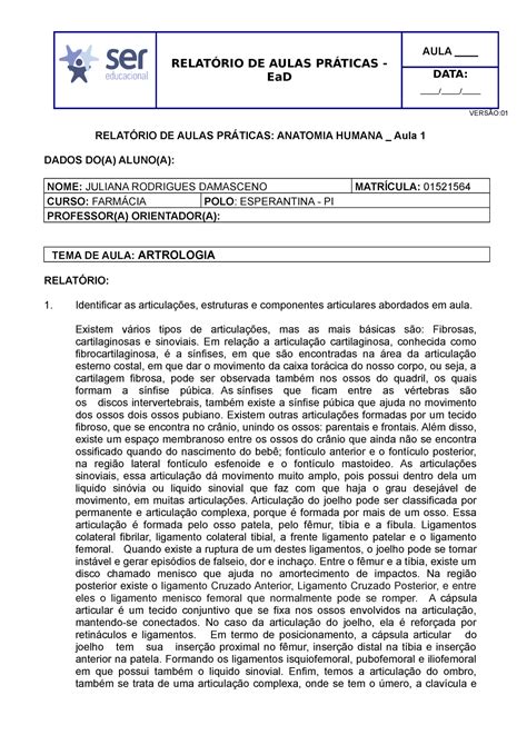 Relatorio De Aula Pratica Pronto RETOEDU