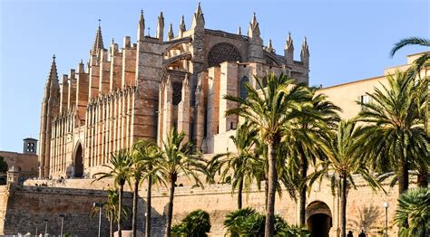 Arriba Imagen Carte Palma Fr Thptnganamst Edu Vn