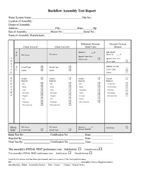 Generic Backflow Test Form 2020 2024 Fill And Sign Printable Template