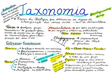 TAXONOMIA Mapas Mentais Classificacao Dos Seres Vivos Mapa