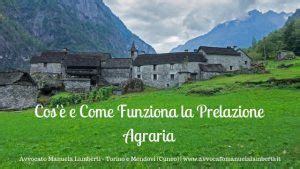 cosè e come funziona la prelazione agraria avvocato manuela lamberti