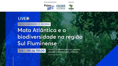 Descobrindo o bioma Mata Atlântica e a biodiversidade na região Sul