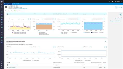 Oracle Database Monitoring Observability Dynatrace Hub