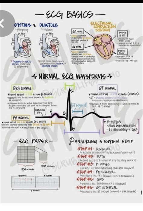 Cranial Nerves Cranial Nerve Sheet Nursing Fundamentals Nurse Cheat