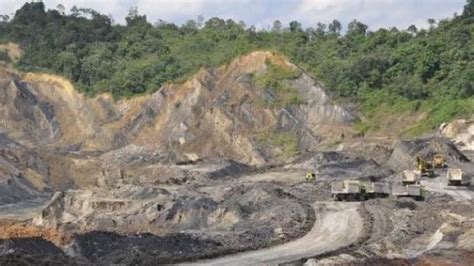 Tak Capai Target Realisasi Investasi Subsektor Mineral Dan Batu Bara