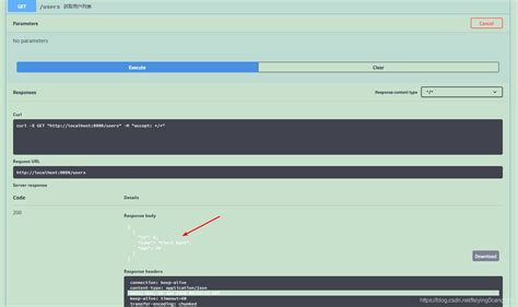 swagger 使用 教程 实例 配置 swagger怎么访问 csdn博客