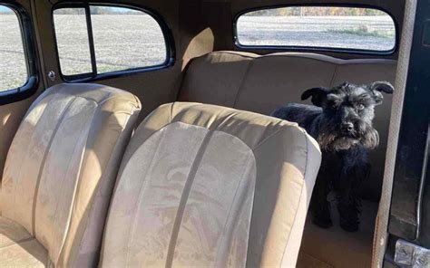 Buick Interior Barn Finds