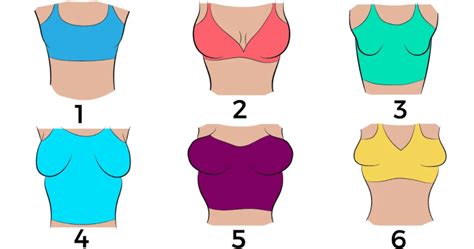 Flat Chest Tit Breast Shapes