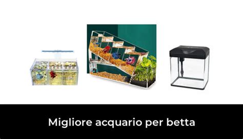 49 Migliore Acquario Per Betta Nel 2024 Secondo Gli Esperti