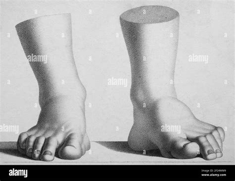 Estudio En Blanco Y Negro Sobre Papel De Dos Pies Descalzos Con Piernas