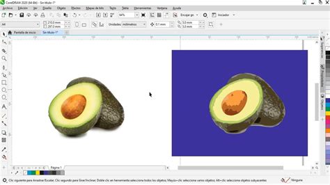 Quitar Fondo Blanco A Una Imagen En Corel Draw Youtube
