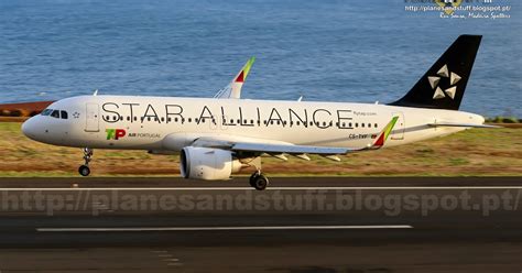 Foto Da Semana TAP Star Alliance NEO