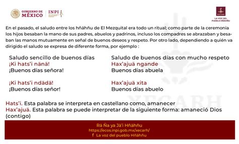 Infografías Lecciones para aprender la lengua hñähñu otomí del Valle