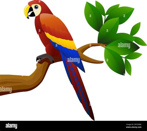 Parrot Bird Vector Stock Vector Image Art Alamy