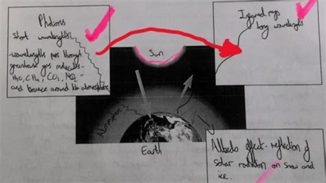 Climate Change Flashcards Quizlet