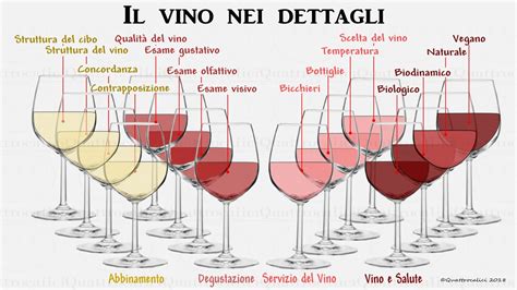 Il Vino Nei Dettagli Conoscere Il Vino Quattrocalici