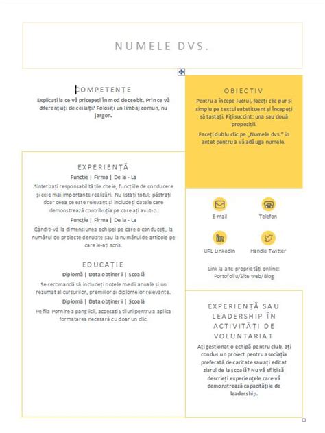Cv Modern Model Cv Simplu I Eficient Curriculum Vitae