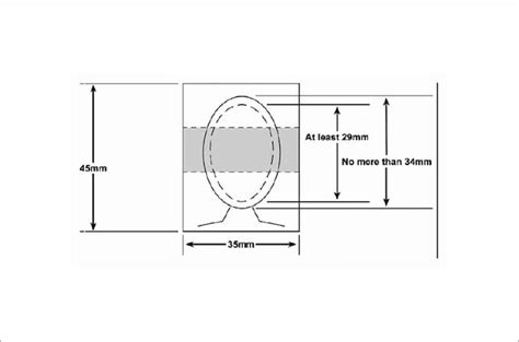 2x2 Passport Photo Template Psd TUTORE ORG Master Of Documents