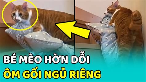 L M Ng V I C U B M O Gi N D I M G I I Ng Ri Ng Meow Youtube