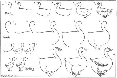 Cómo dibujar pato ganso y ansarino fácil instrucción paso a paso
